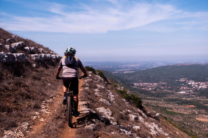 Fórnea E-bike and Olive Oil tour - Who Will Love This Tour?
