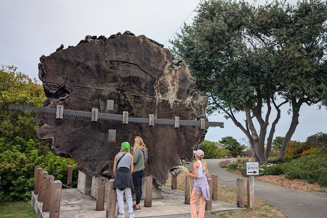Fort Bragg California Scavenger Hunt Walking Activity and Game - Practical Tips for Participants