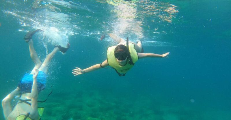 Fort Lauderdale: Guided Snorkeling Reef Tour and Lesson - An In-Depth Look at the Tour Experience