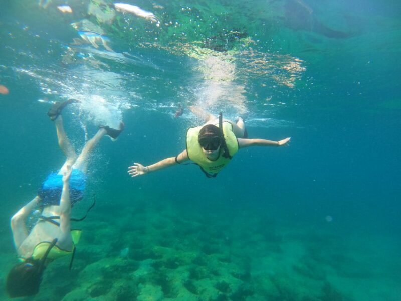 Fort Lauderdale: Guided Snorkeling Reef Tour and Lesson - What Past Participants Say