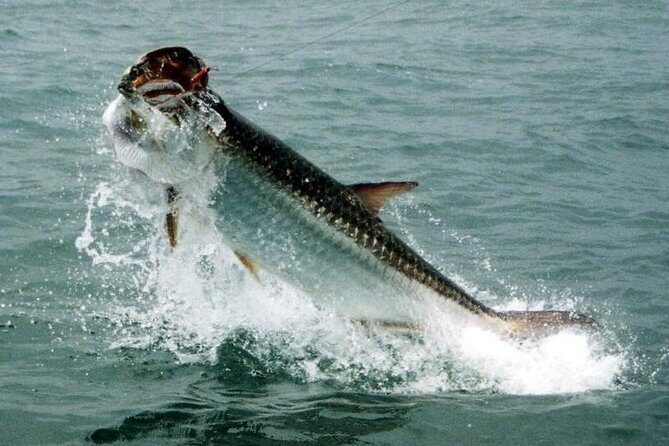 Fort Lauderdale Inshore Fishing Charters - Who Is This Tour Best Suited For?