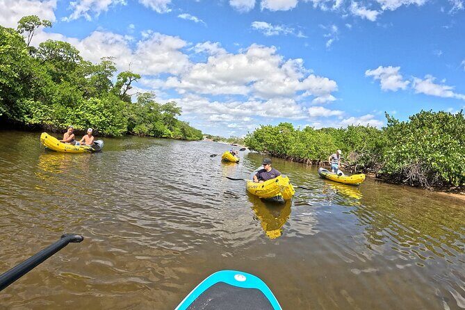 Fort Lauderdale: Kayak and Paddleboard Mangroves Eco Adventure - Final Thoughts
