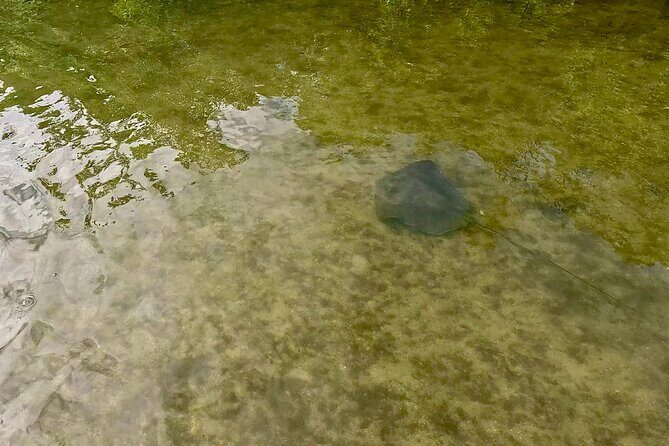 Fort Lauderdale: Kayak and Paddleboard Mangroves Eco Adventure - FAQ