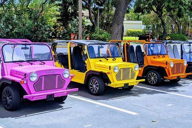 Fort Lauderdale Moke City Tour - Introduction