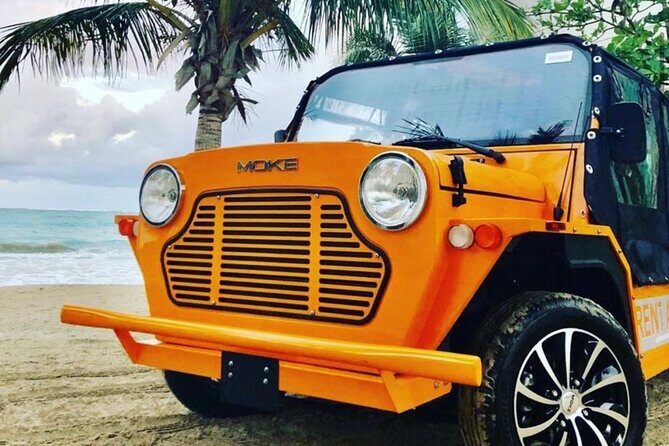Fort Lauderdale Moke City Tour - Who Is This Tour Best For?