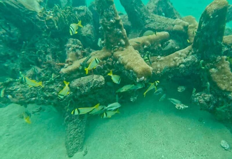 Fort Lauderdale: Ocean Reef Snorkel Tour w/ Snacks & Drinks - Key Points