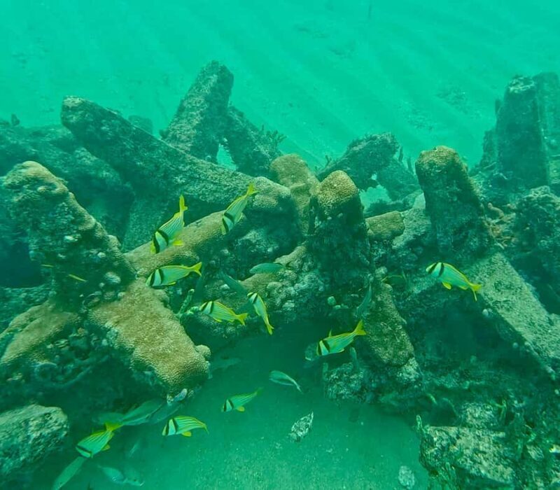 Fort Lauderdale: Ocean Reef Snorkel Tour w/ Snacks & Drinks - Who Should Book This Tour?