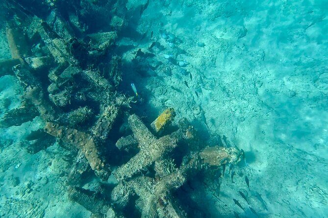 Fort Lauderdale: Ocean Reef Snorkeling Tour w/ Snacks & Drinks - An In-Depth Look at the Fort Lauderdale Snorkeling Experience