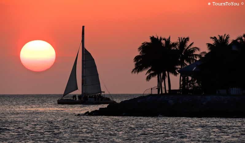 Fort Lauderdale to Key West Day Trip - The Journey Begins: What to Expect from the Tour Itself