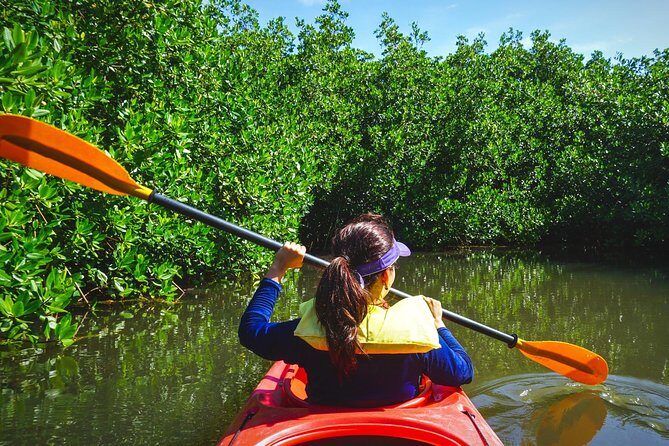 Fort Lauderdales Tropical Kayak Tour and Island Adventure - Who Should Consider This Tour?
