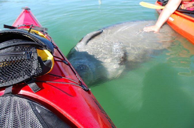 Fort Lauderdales Tropical Kayak Tour and Island Adventure - The Sum Up