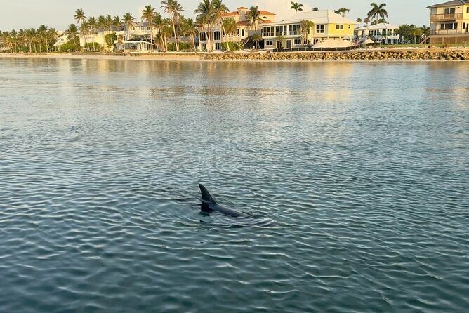 Fort Myers Beach Daytime 90 minute Round Tiki Boat Cruise - The Sum Up