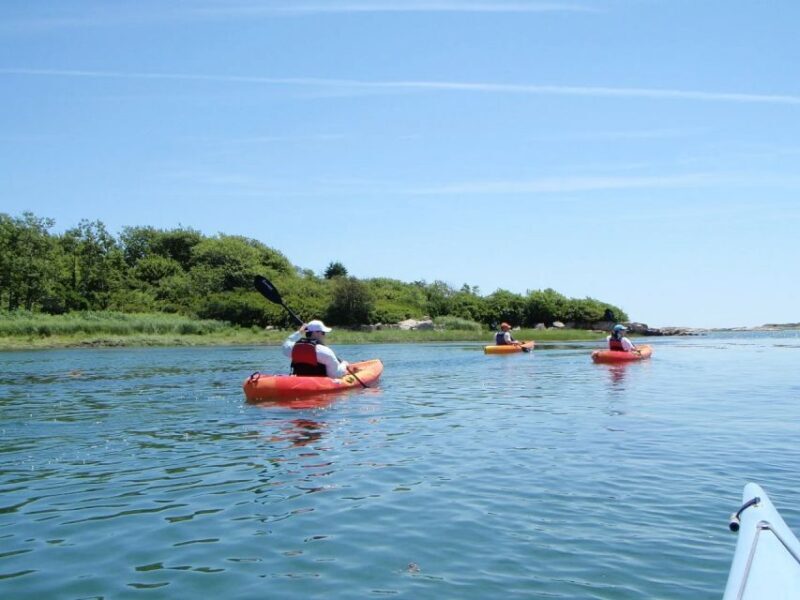 Fort Myers: Guided Kayak or SUP Tour in Pelican Bay - What to Expect from the Pelican Bay Kayak or SUP Tour