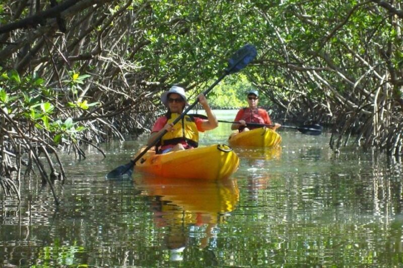 Fort Myers: Guided Kayak or SUP Tour in Pelican Bay - The Itinerary: A Slow Stroll on the Water