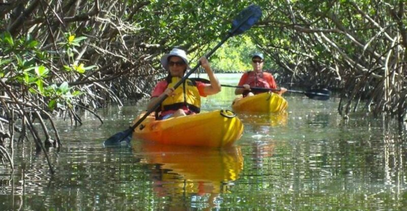 Fort Myers: Guided Kayak or SUP Tour in Pelican Bay - Practicalities and Booking