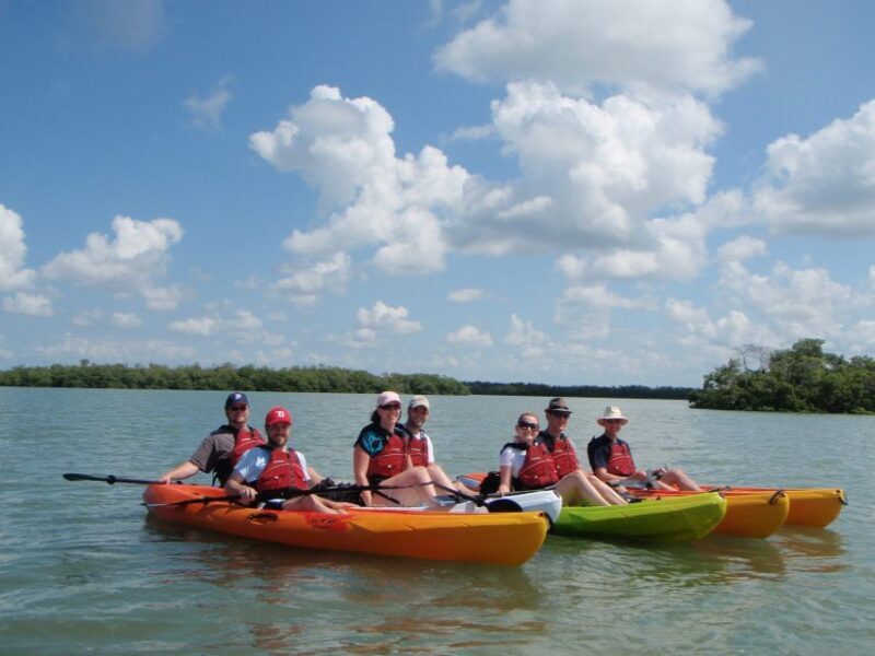 Fort Myers: Guided Kayaking Eco Tour in Pelican Bay - The Itinerary Breakdown