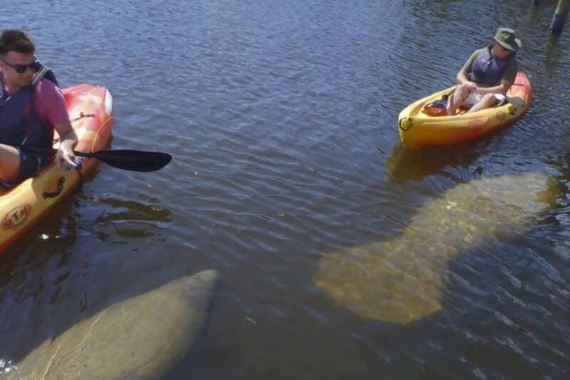 Fort Myers: Guided Kayaking Eco Tour in Pelican Bay - Authentic Experiences and Authenticity of the Environment