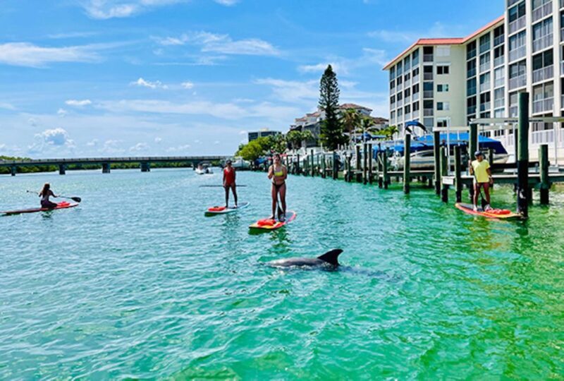 Fort Myers: Guided Standup Paddleboarding or Kayaking Tour - The Sum Up