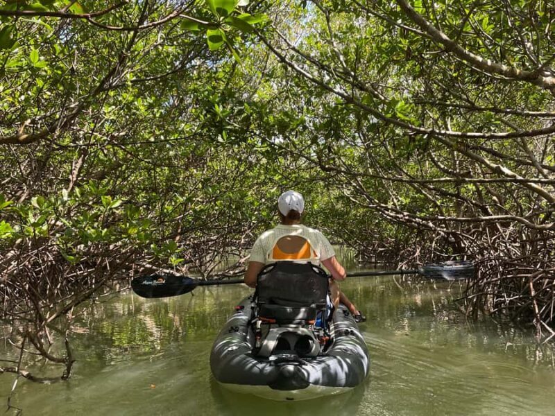 Fort Pierce: 2-Hour Prehistoric Preserve Kayak Tour - The Value Proposition
