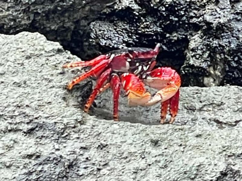 Fort Pierce: 2-Hour Prehistoric Preserve Kayak Tour - Who Will Love This Tour?