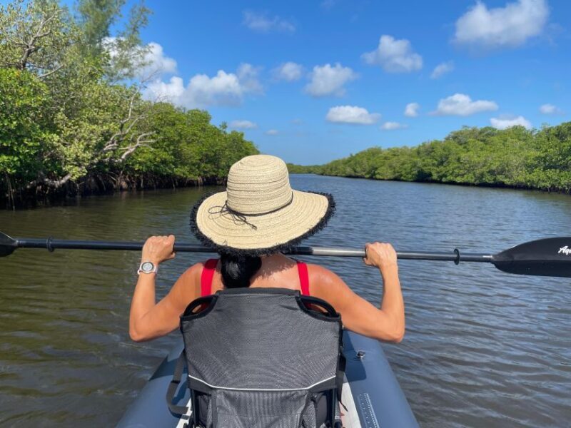 Fort Pierce: 4-hr Mangroves & Dolphin Watch Sandbar in FL - Suitable For Whom?