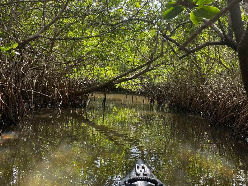 Fort Pierce: 8-hr Jungle and Lagoon passage to Ocean in FL - FAQ
