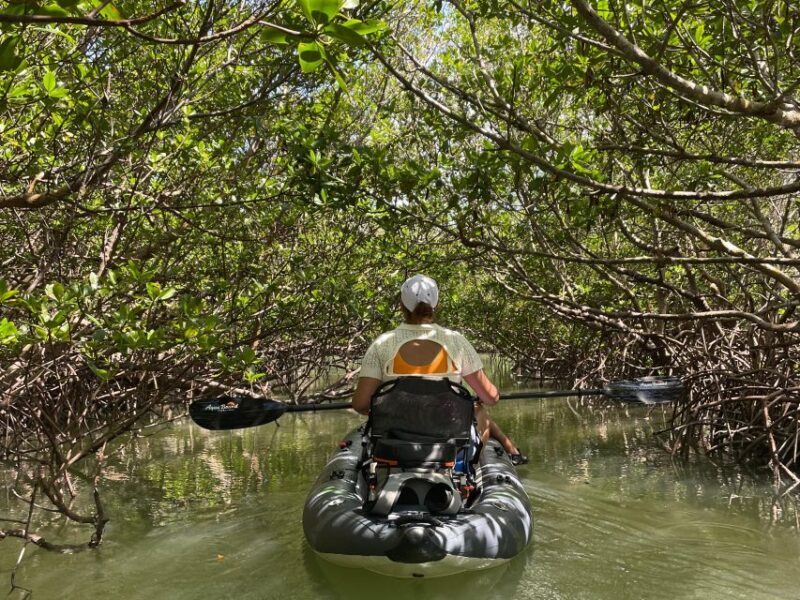 Fort Pierce: Prehistoric Preserve Kayak Tour - Exploring the Prehistoric Preserve Kayak Tour in Detail