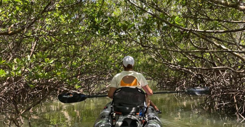 Fort Pierce: Prehistoric Preserve Kayak Tour - Final Thoughts: Why This Tour Is Worth Considering