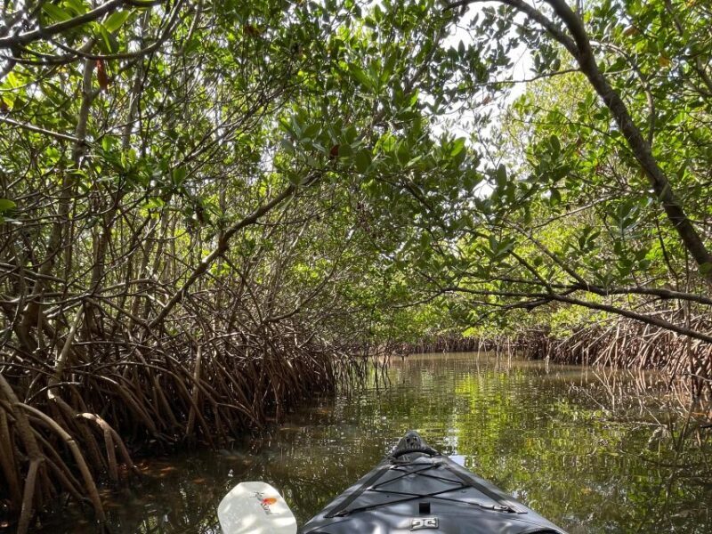 Fort Pierce: Prehistoric Preserve Kayak Tour - Frequently Asked Questions