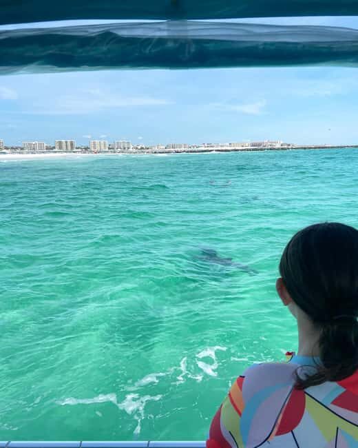 Fort Walton Beach: Emerald Coast 2-hour Dolphin Cruise - A Complete Look at the Dolphin Cruise Experience