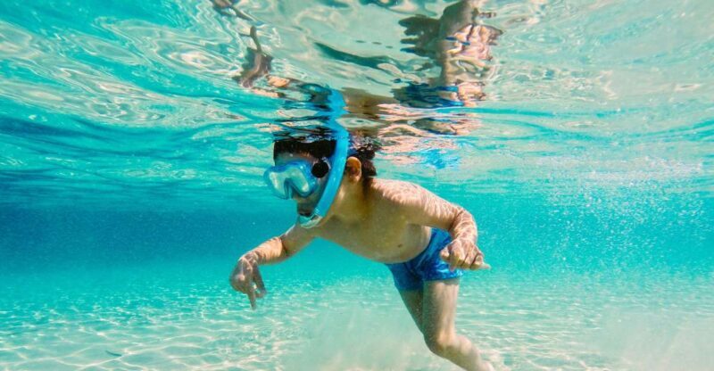 Fort Walton Beach: Morning Dolphin Cruise with Snorkel Stop - Setting Out on the Water: Whats the Experience Like?
