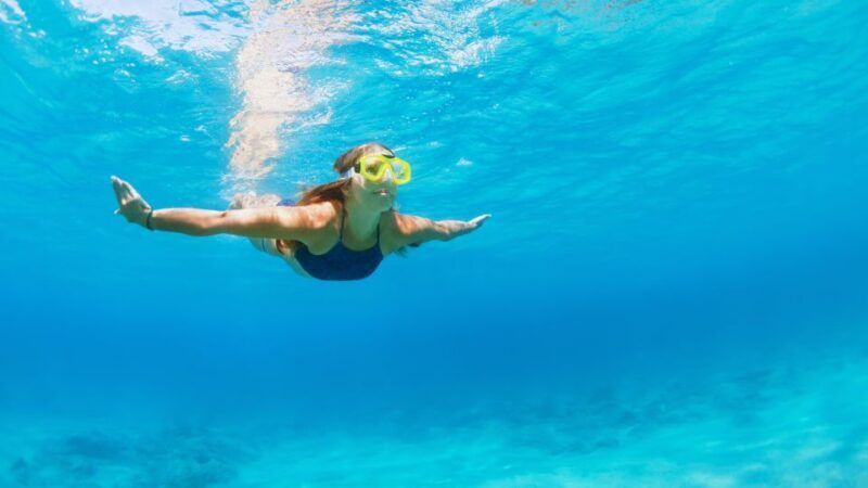 Fort Walton Beach: Morning Dolphin Cruise with Snorkel Stop - Final Thoughts