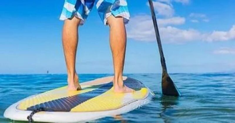 Fort Walton Beach: Paddle Board Rental - Who Would Love This Experience?