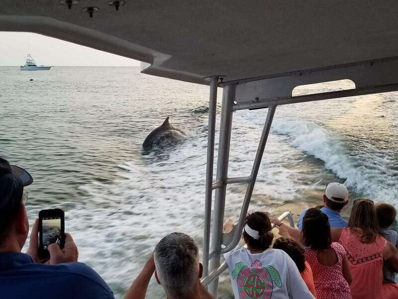 Fort Walton: Dolphin Discovery and Snorkeling Cruise - The Value of this Tour