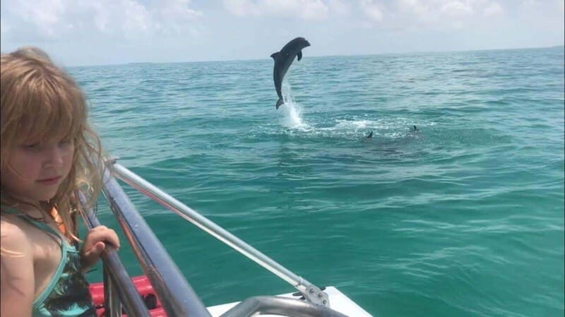 Fort Walton: Dolphin Discovery and Snorkeling Cruise - Authentic Experiences and Practical Tips