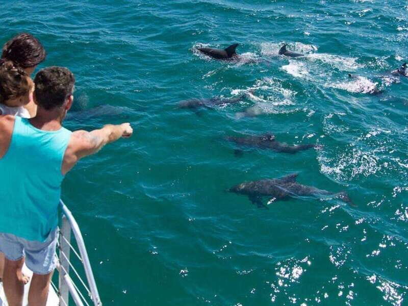 Fort Walton: Dolphin Discovery and Snorkeling Cruise - Final Thoughts: Who Should Consider This Tour?
