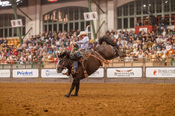 Fort Worth Championship Rodeo and Stockyards Tour - What Travelers Are Saying
