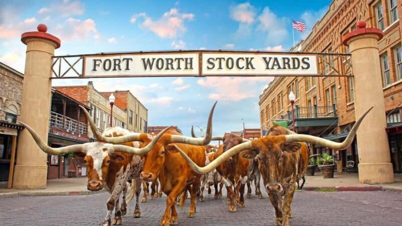 Fort Worth: Heritage and Landmarks Open-Air Tour - An In-Depth Look at the Fort Worth Heritage and Landmarks Tour