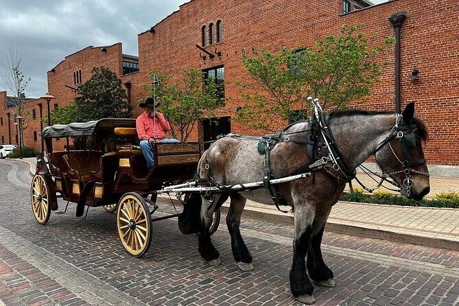 Fort Worth Highlights & Southfork Ranch Combo Tour - FAQ