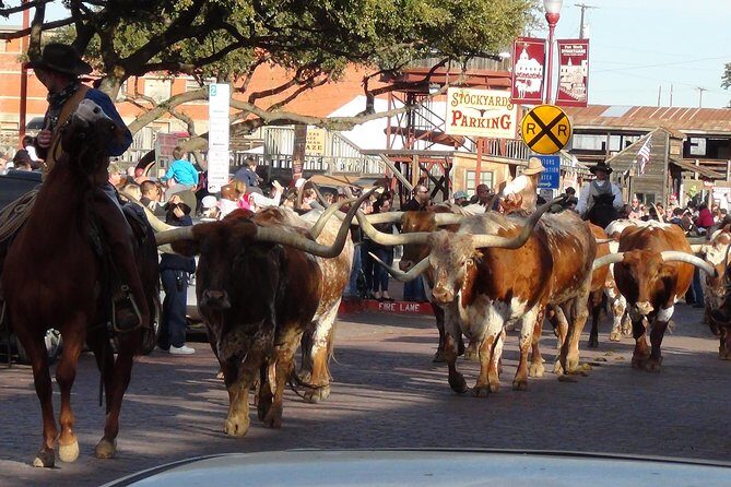 Fort Worth Historical Tour from Dallas - The Itinerary in Detail: What to Expect