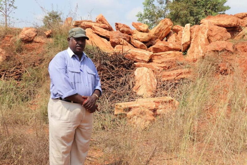 Fossil Walk  Unearthing Ancient Secrets near Pondicherry - Key Points