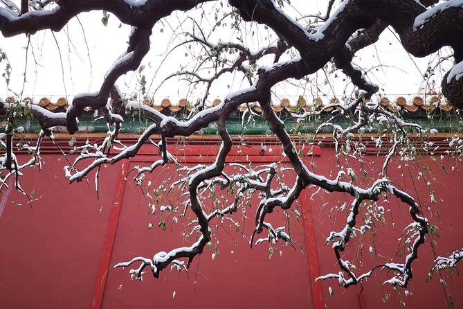 Four Days Beijing Shanghai Best Classic Quality Private Tour - Final Thoughts