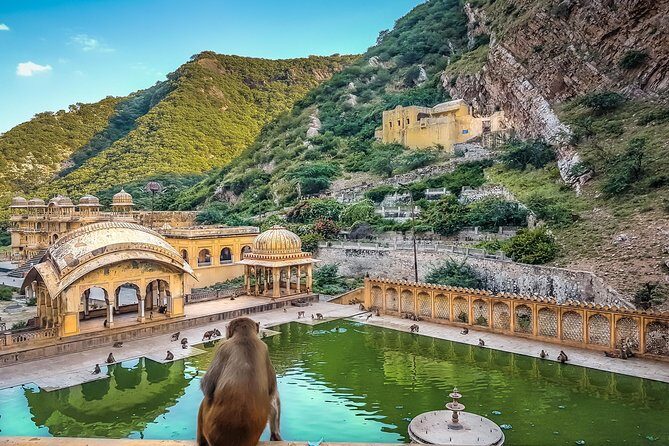 Four days Golden Triangle Luxury Tour with Dinner to Agra and Jaipur from Delhi - Summary and Who Should Consider This Tour