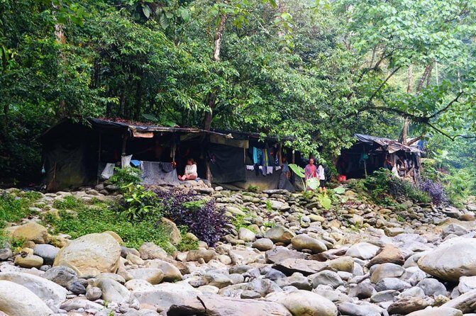 Four days orangutans adventure in Gunung Leuser - Final Thoughts: Is It Worth It?