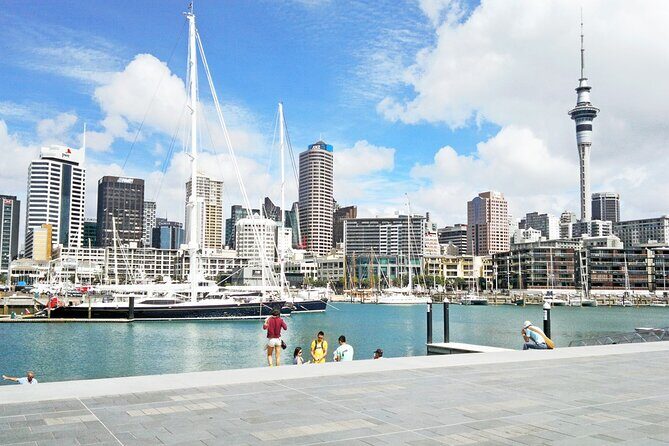 Four Hour Private Auckland Sightseeing Tour - A Deep Dive Into the Itinerary