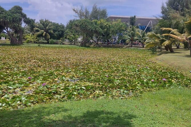 Four Islands Private Tour in Addu City, Maldives - FAQ