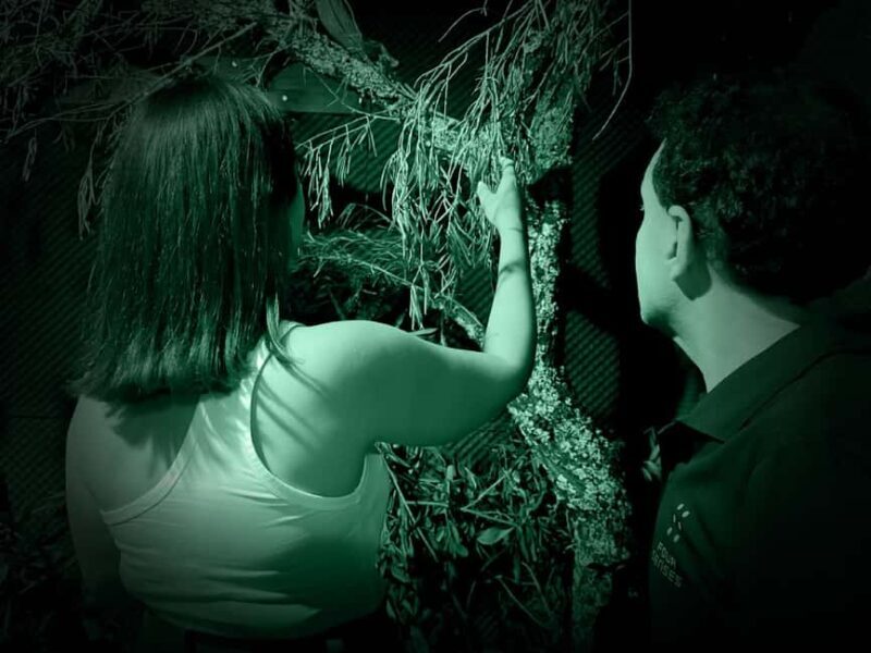 FOUR SENSES: The Immersive Experience in the Dark - Faro - Key Points