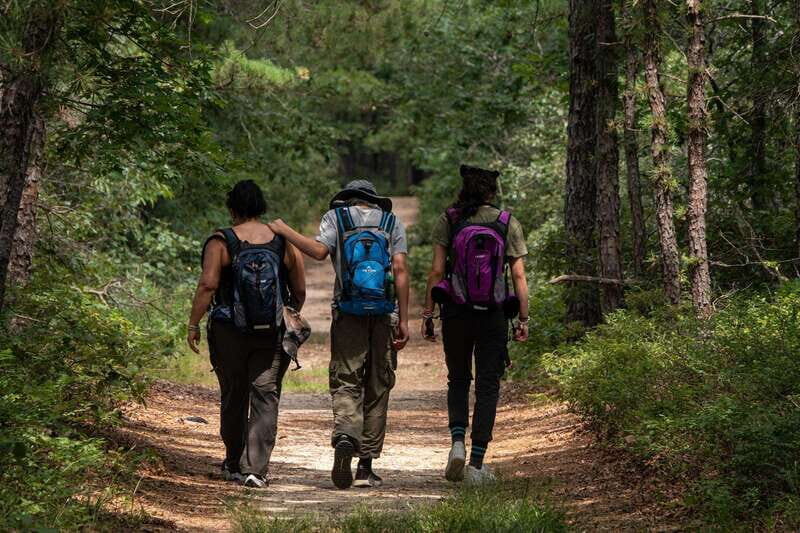 Fox Canyon Adventure Trek: Los Cabos Full-Day Tour - A Nourishing Break and Scenic Drive