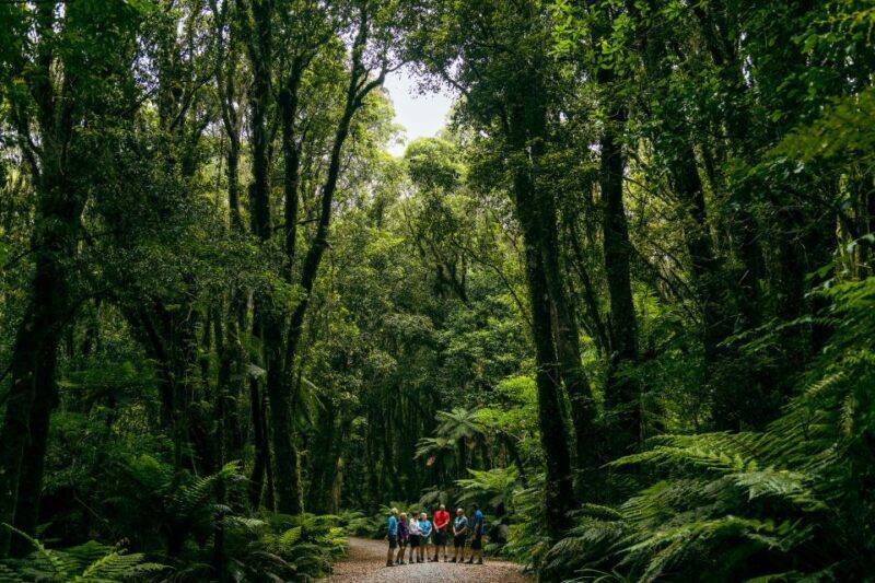 Fox Glacier: Half Day Walking & Nature Tour with Local Guide - Final Thoughts