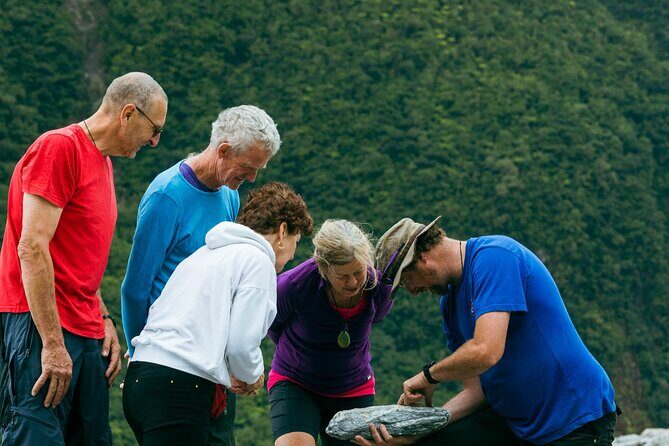 Fox Glacier Nature Tour - An In-Depth Look at the Fox Glacier Nature Tour
